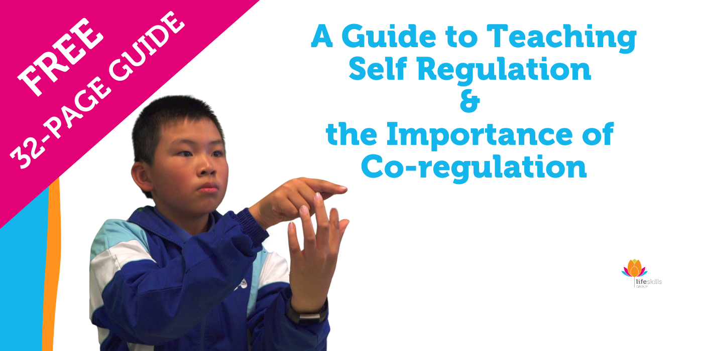 A Guide To Teaching Self Regulation